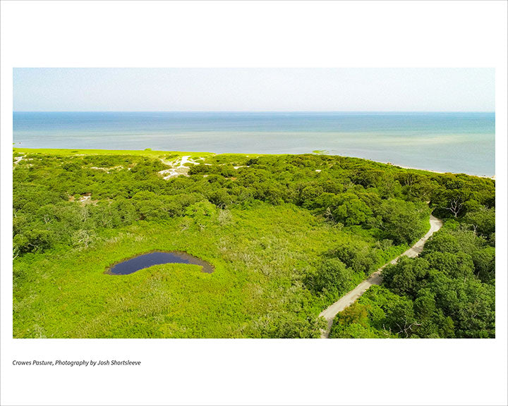 Crowes Pasture – Cape Cod Life Shop