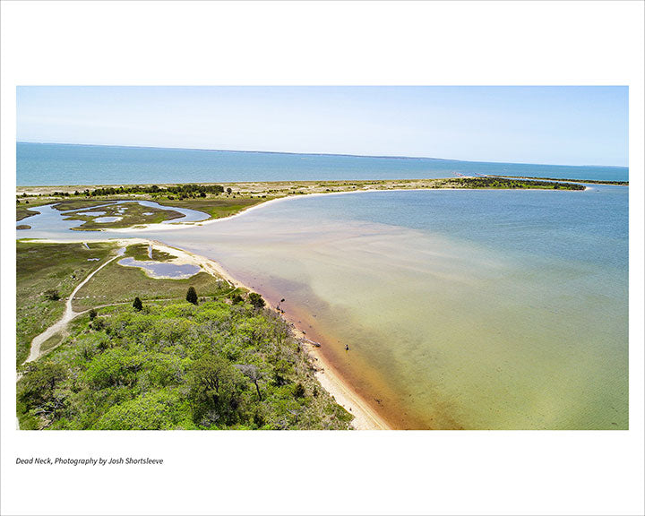 Dead Neck – Cape Cod Life Shop