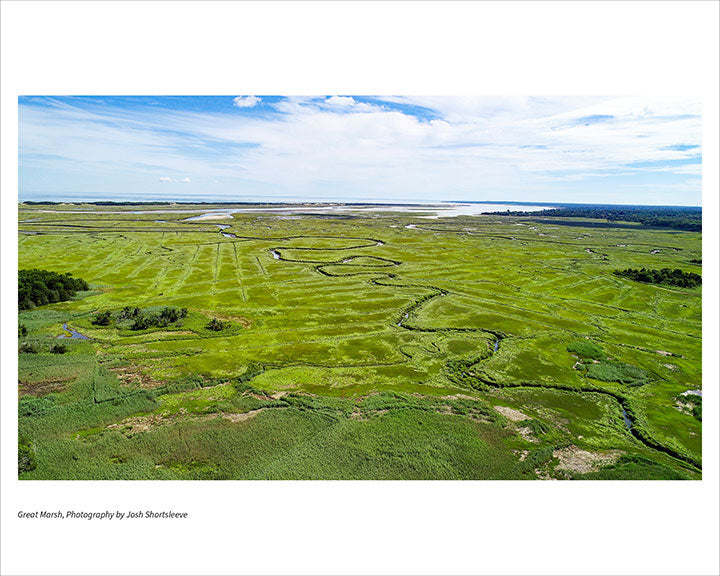 Great Marsh – Cape Cod Life Shop