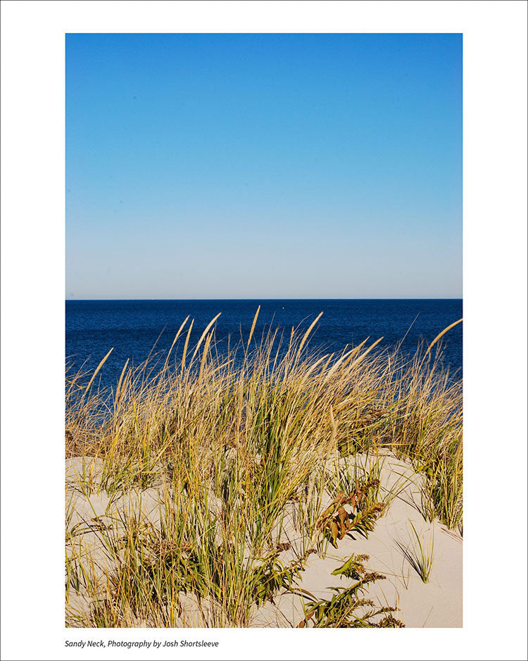 Sandy Neck – Cape Cod Life Shop