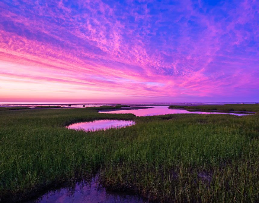 Paine's Creek – Cape Cod Life Shop